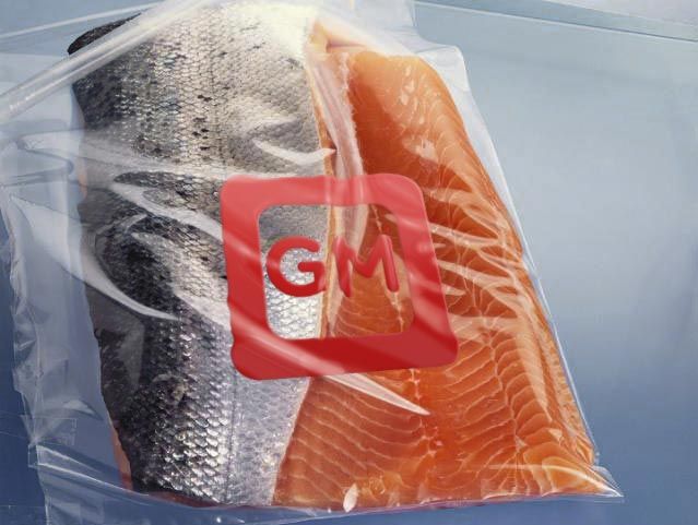 Frankenfish: FDA Approves Genetically Modified Salmon! – Proof Behind ...